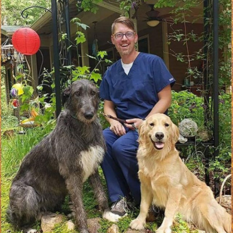 Best Veterinary Hospital In Cary NC | Homestead Vet Hospital